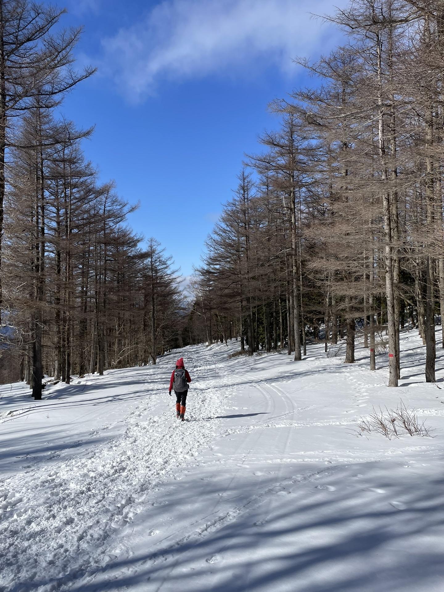 鶏頂山西口登山口 往復コースの地図・登山ルート・登山口情報 | YAMAP / ヤマップ