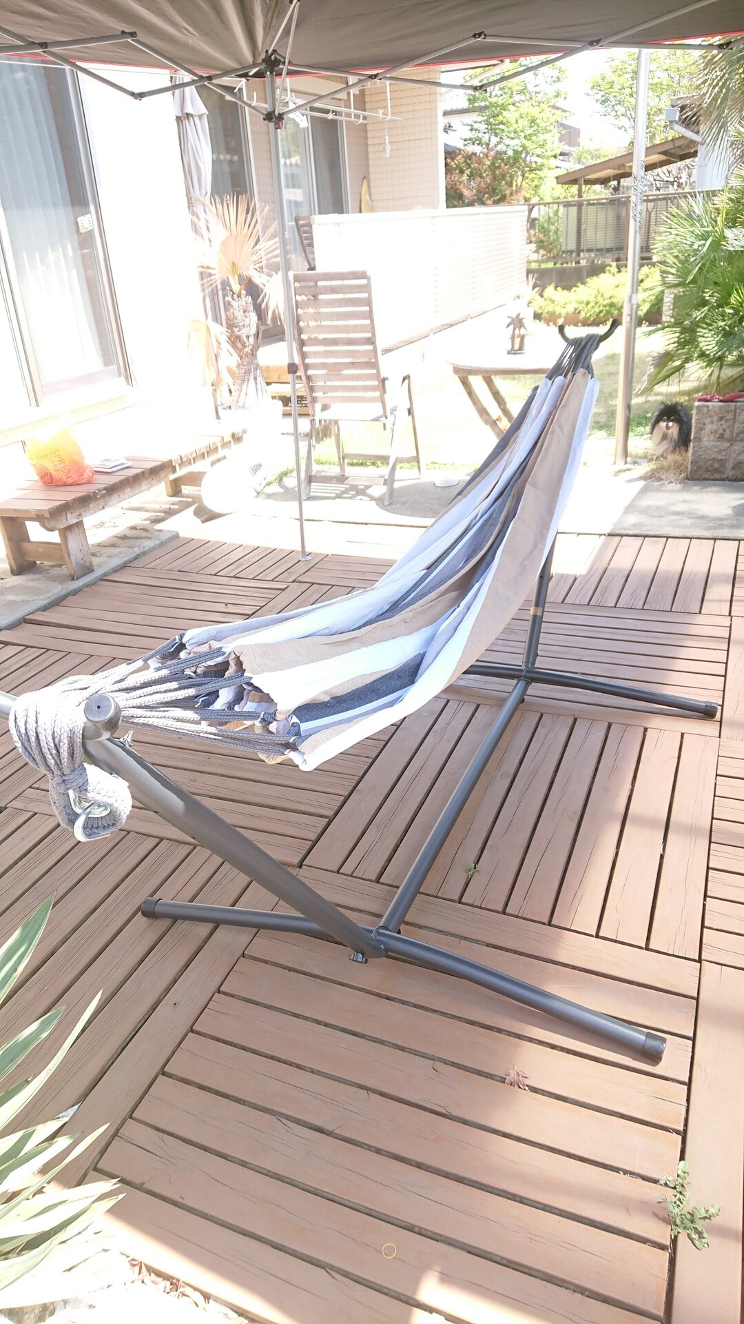 ハンモック 寝 (-_-)zzz / 華丸さんのモーメント | YAMAP / ヤマップ