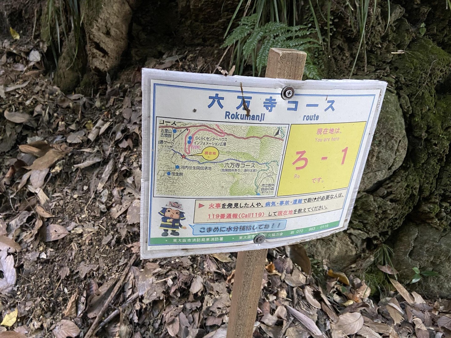 ゆる登山のはずが…バリルート ️2 ！？ 五里山・横峰山・大原山・天照山・鬼取山・生駒山・鷲尾山・鐃速日山 / MASAEさんの生駒山・神津嶽・大原山の活動データ | YAMAP / ヤマップ