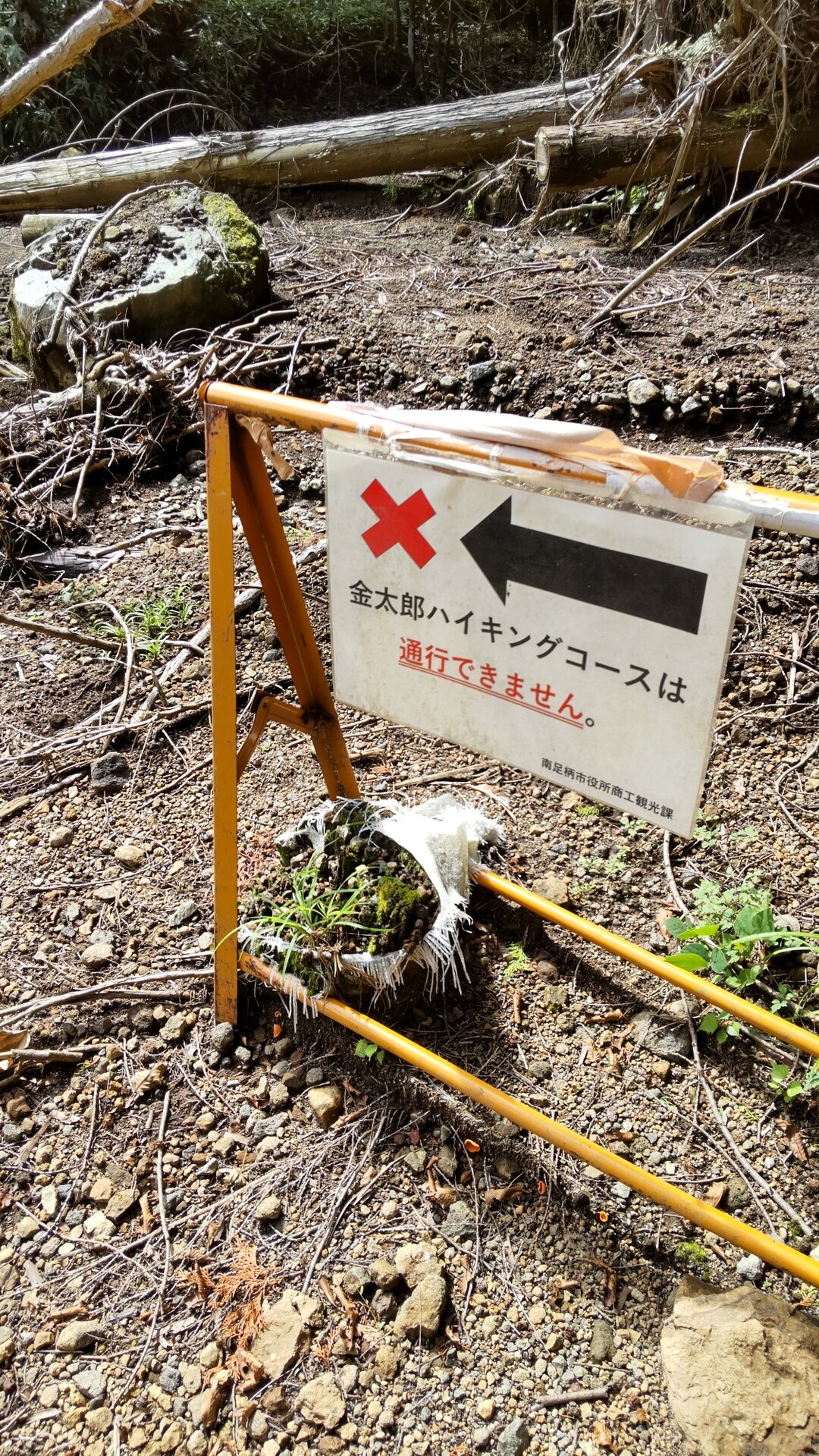 みみりんさんの投稿したフィールドメモ | YAMAP / ヤマップ