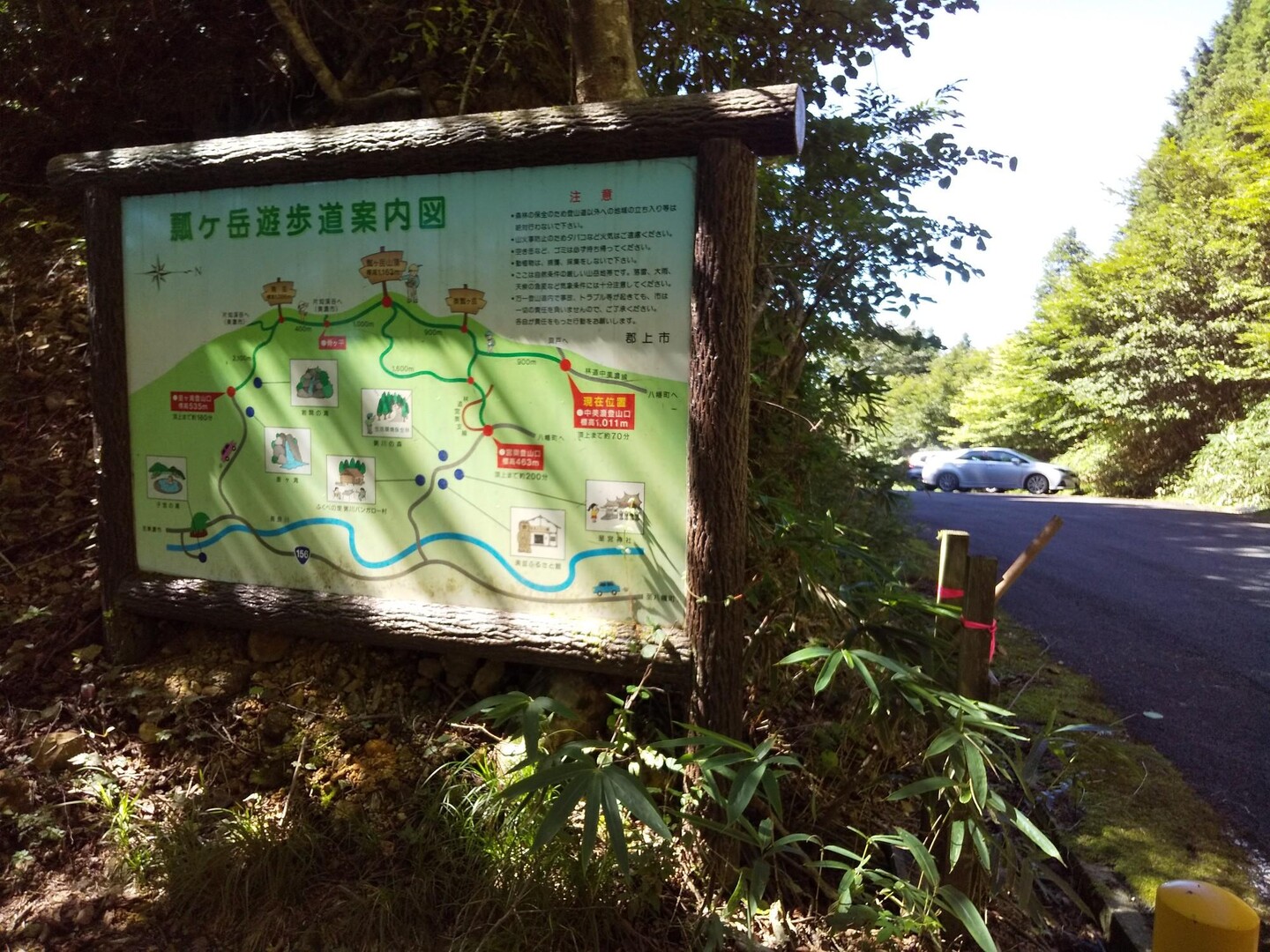 瓢ヶ岳の宮奥登山道の新ルートの笹 S5-SH / kaoruさんの高賀山・瓢ヶ岳・片知山の活動データ | YAMAP / ヤマップ