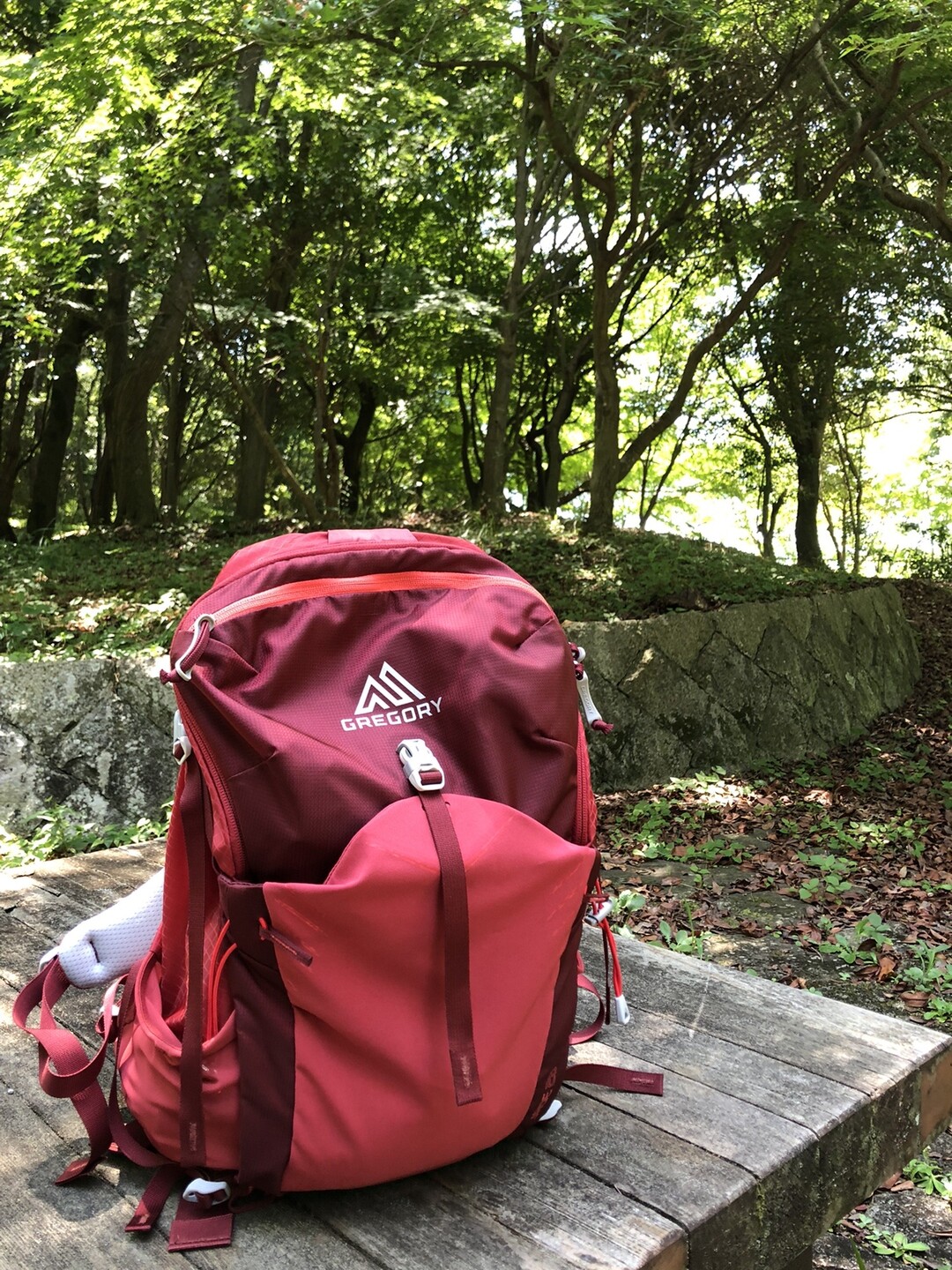 5kgのリュック 足に1kgの重り。 真... / いーちゃんさんのモーメント | YAMAP / ヤマップ