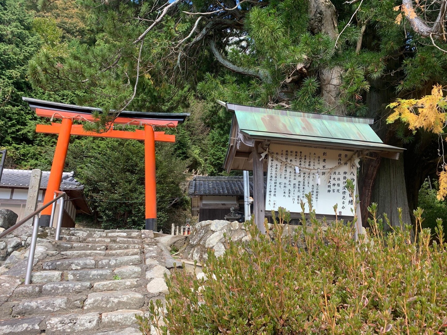 ヘルニアさんの投稿したフィールドメモ | YAMAP / ヤマップ