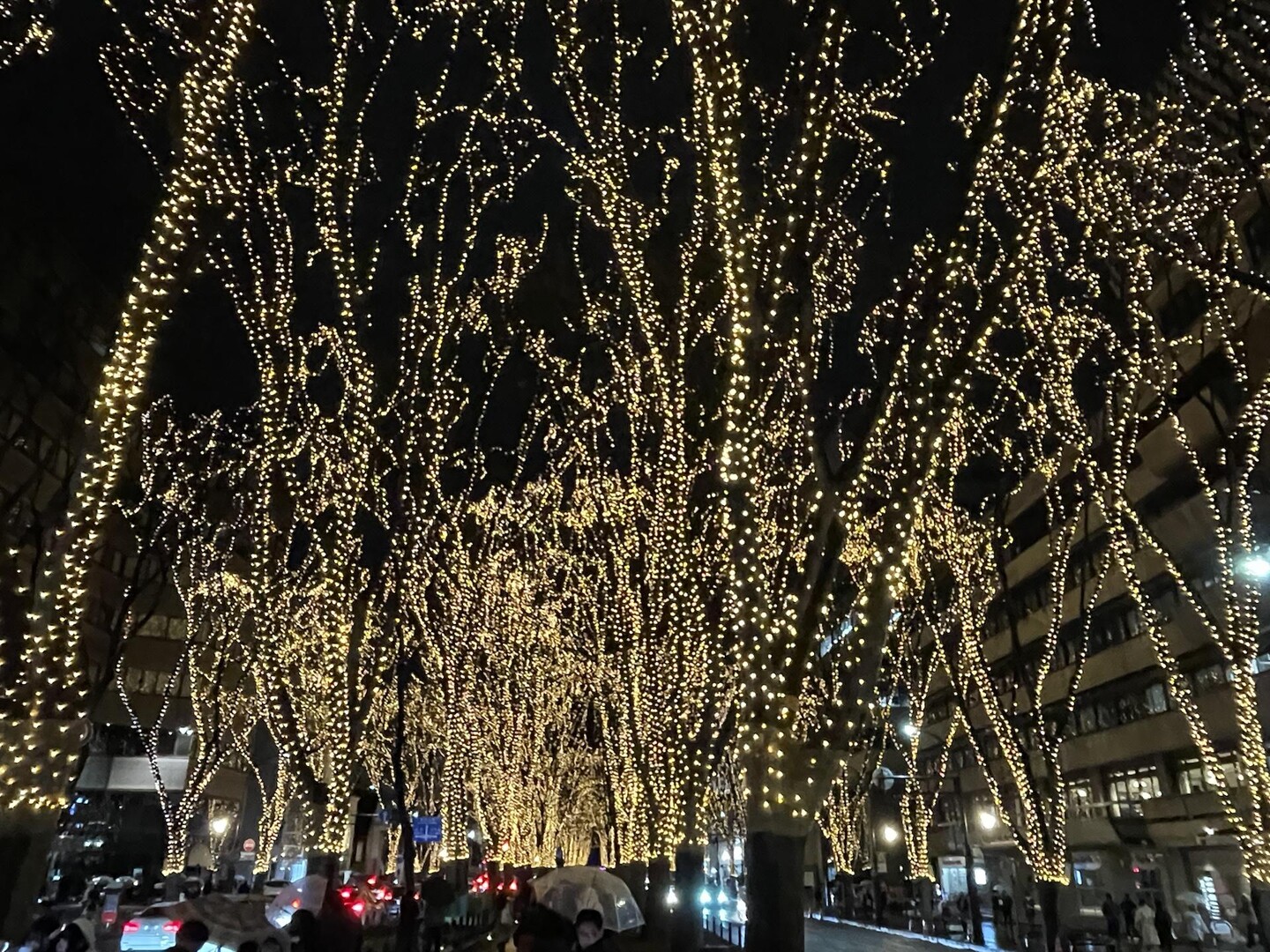 仙台に行って「Sendai 光のページェ... / Hideさんのモーメント | YAMAP / ヤマップ