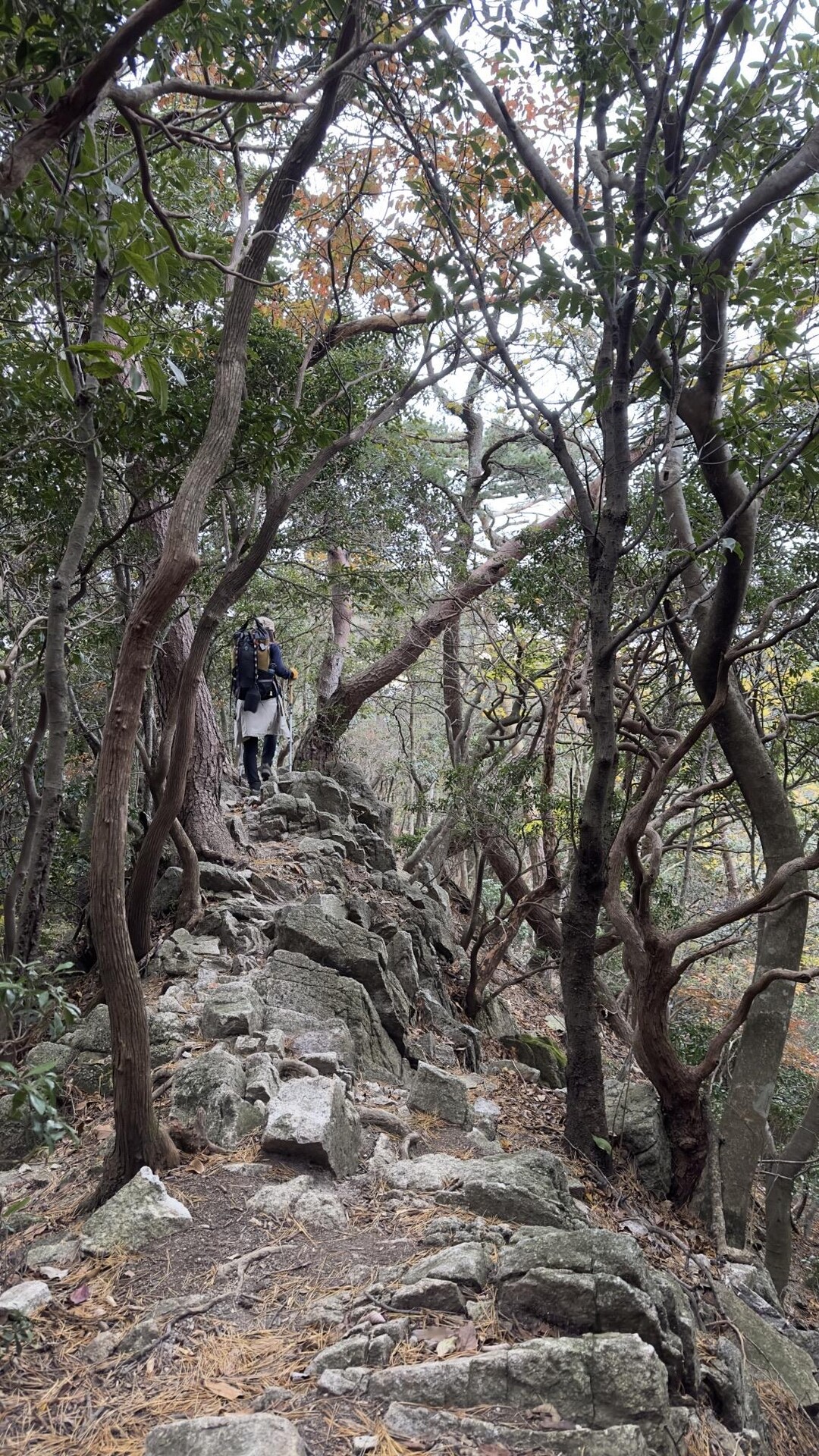 Kei MINI.さんの投稿したフィールドメモ | YAMAP / ヤマップ