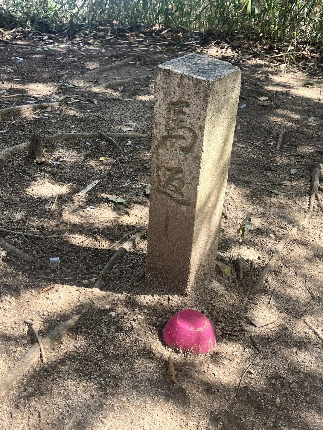 初⭐︎武田山 / Akkoronさんの広島南アルプス（武田山・三滝山・鈴ヶ峰）の活動データ | YAMAP / ヤマップ