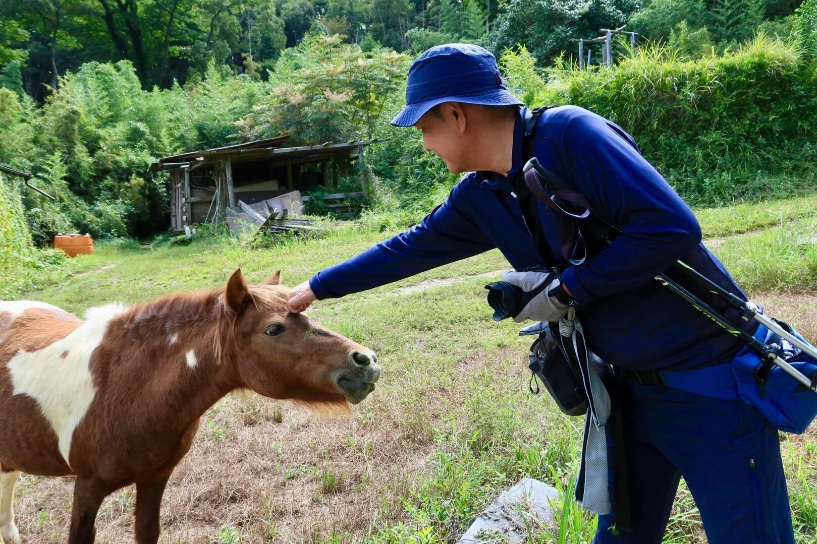 ワイワイ・ガヤガヤゆるっと紫雲出山！ / kazashiさんの登山の活動データ | YAMAP / ヤマップ