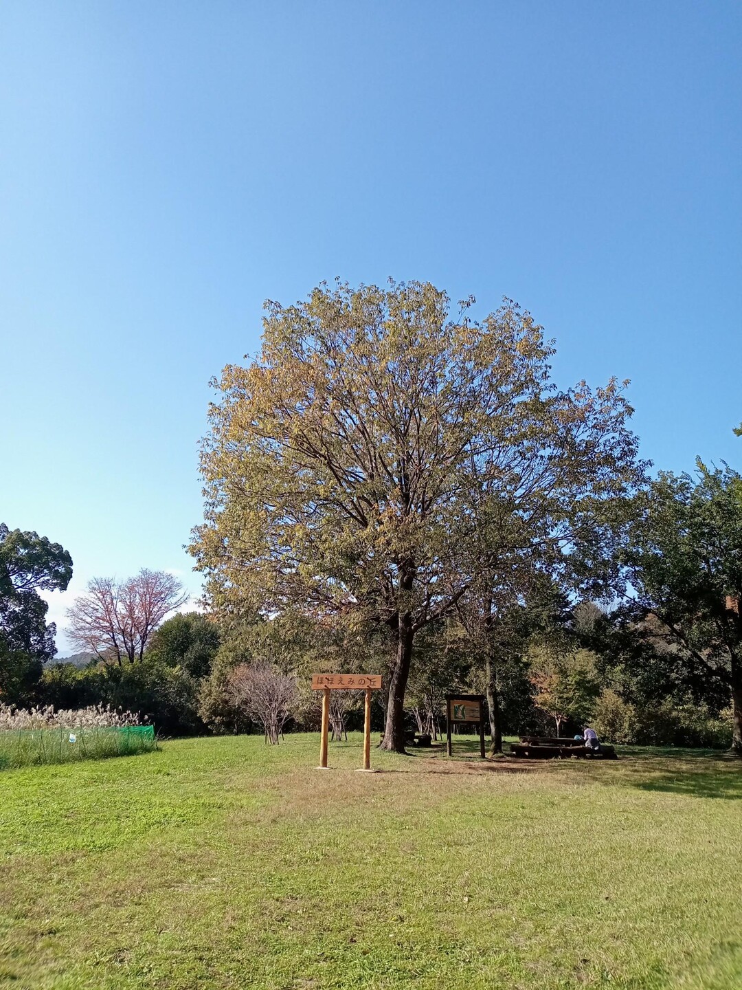 【トレランTR】高麗峠〜屯着田〜日和田山〜多峯主山 / yoshiさんの天覧山・多峯主山・天覚山の活動データ | YAMAP / ヤマップ
