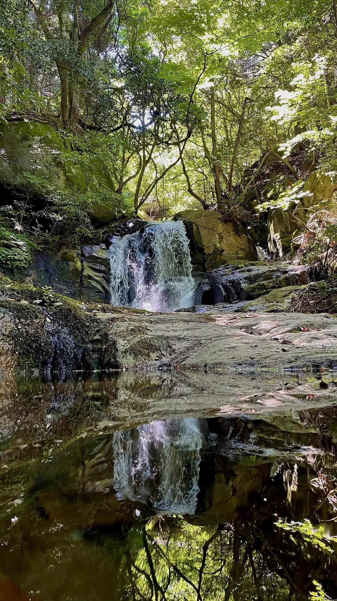 "水鏡" 2023.08.24 京都府某... / CLEAN TRAIL あまるさんのモーメント | YAMAP / ヤマップ