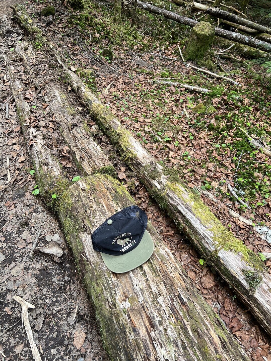 天狗岳（西天狗岳）・東天狗岳 / nagisaさんの八ヶ岳（赤岳・硫黄岳・天狗岳）の活動日記 | YAMAP / ヤマップ