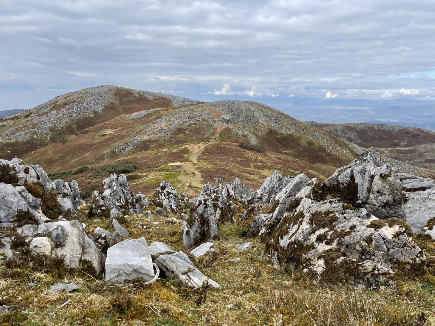 霊仙山 / Sou大将さんの霊仙山の活動データ | YAMAP / ヤマップ