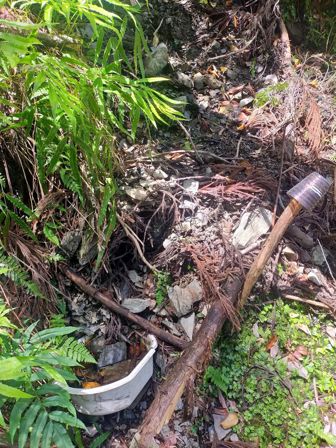 食べ乗りさんの投稿したフィールドメモ | YAMAP / ヤマップ