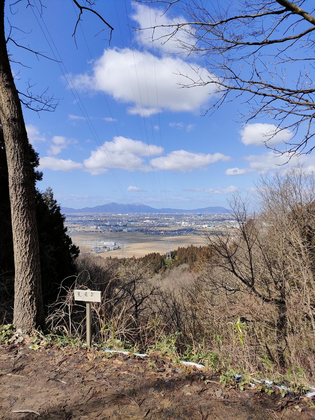 トリムの森 タヌキ山コース〜カジカガエルコース / kumapさんの三条市の活動データ | YAMAP / ヤマップ