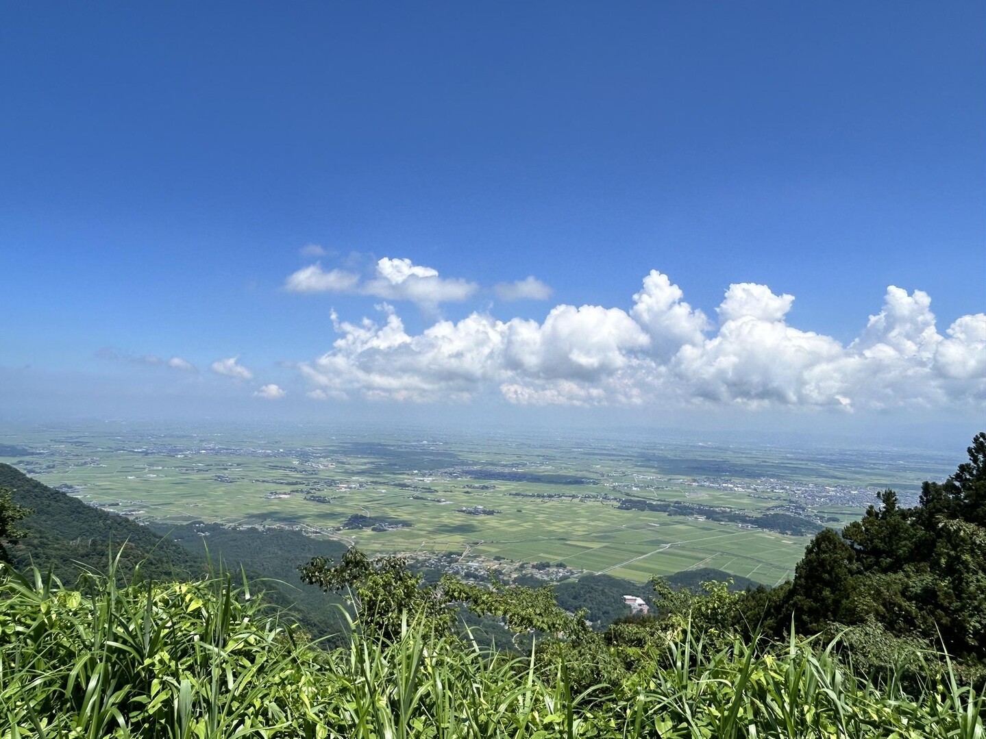 弥彦山 / yumipさんの弥彦山・多宝山・雨乞山の活動データ | YAMAP / ヤマップ