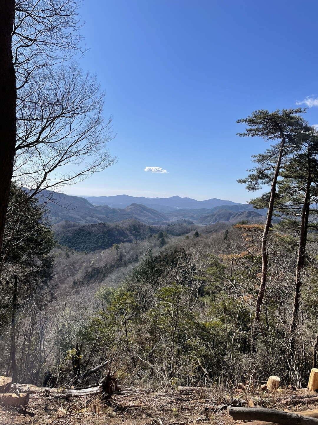 焼森山・鶏足山 / RUmama🍃さんの焼森山・鶏足山の活動データ | YAMAP / ヤマップ