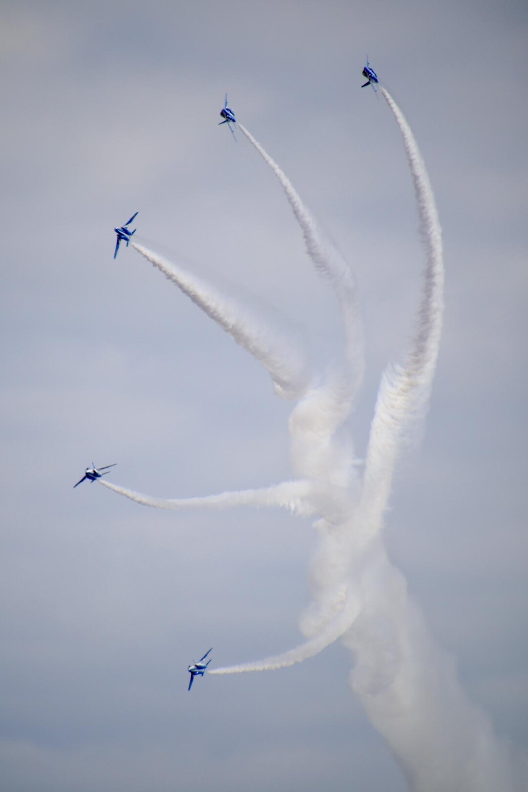 築城基地航空祭の予行に行ってきました。 / えりたさんのモーメント | YAMAP / ヤマップ
