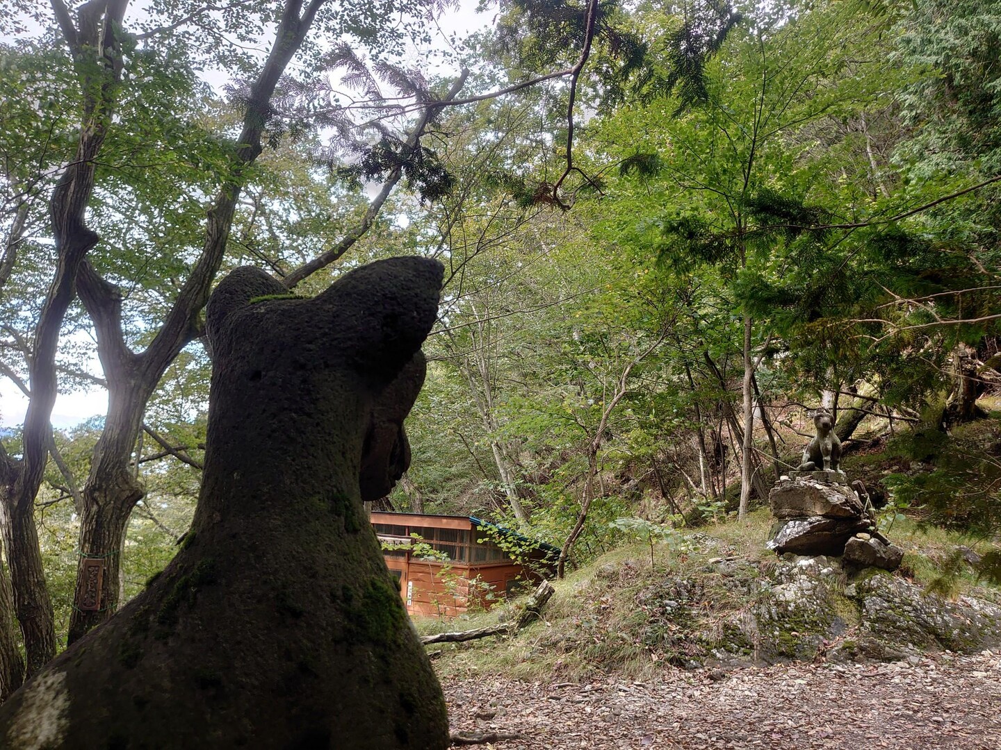 鳴神山（桐生岳） / s_nakanoさんの鳴神山・吾妻山の活動データ | YAMAP / ヤマップ