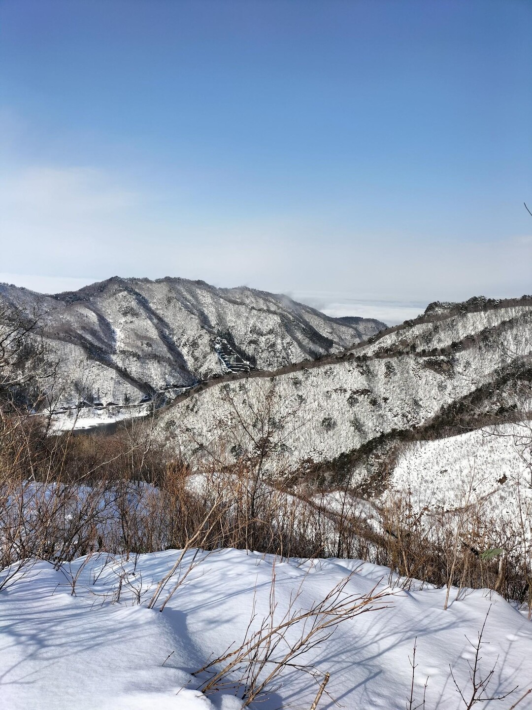 桜山・前山 / はなまめさんの会津若松市の活動データ | YAMAP / ヤマップ