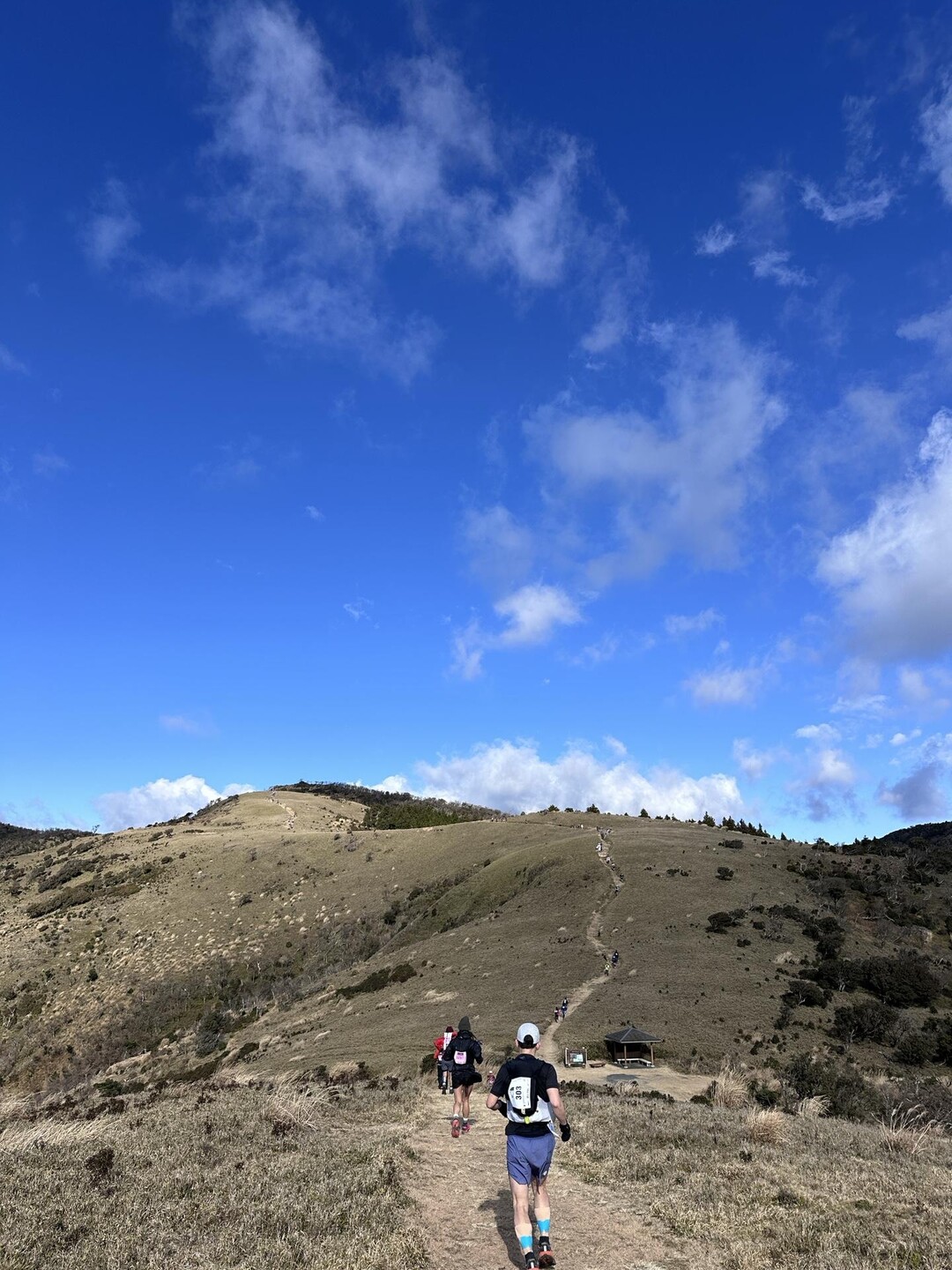 ITJ IZU Trail Journey / たか山さんの金冠山・達磨山・葛城山の活動データ | YAMAP / ヤマップ