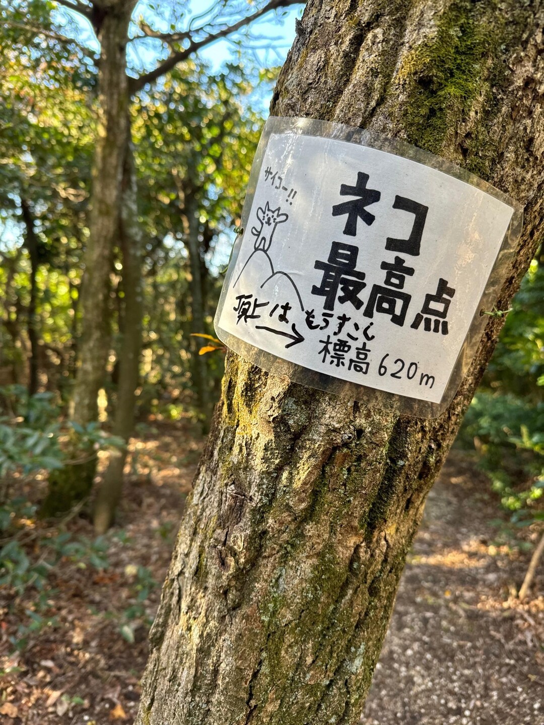 【シリーズ】鈴鹿 300座 への道 ハライド 8座 後半 / Milkyさんの入道ヶ岳・鎌ヶ岳・仙ヶ岳の活動データ | YAMAP / ヤマップ