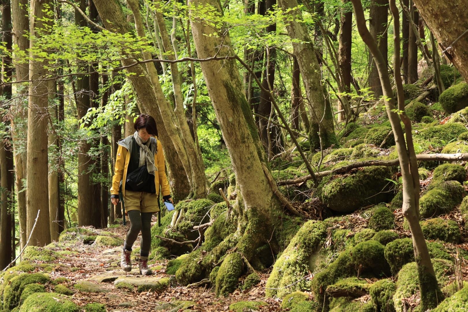 祝日月曜は、なっちゃん🍎と♡ / yoshimiさんの大洞山・尼ヶ岳の活動データ | YAMAP / ヤマップ