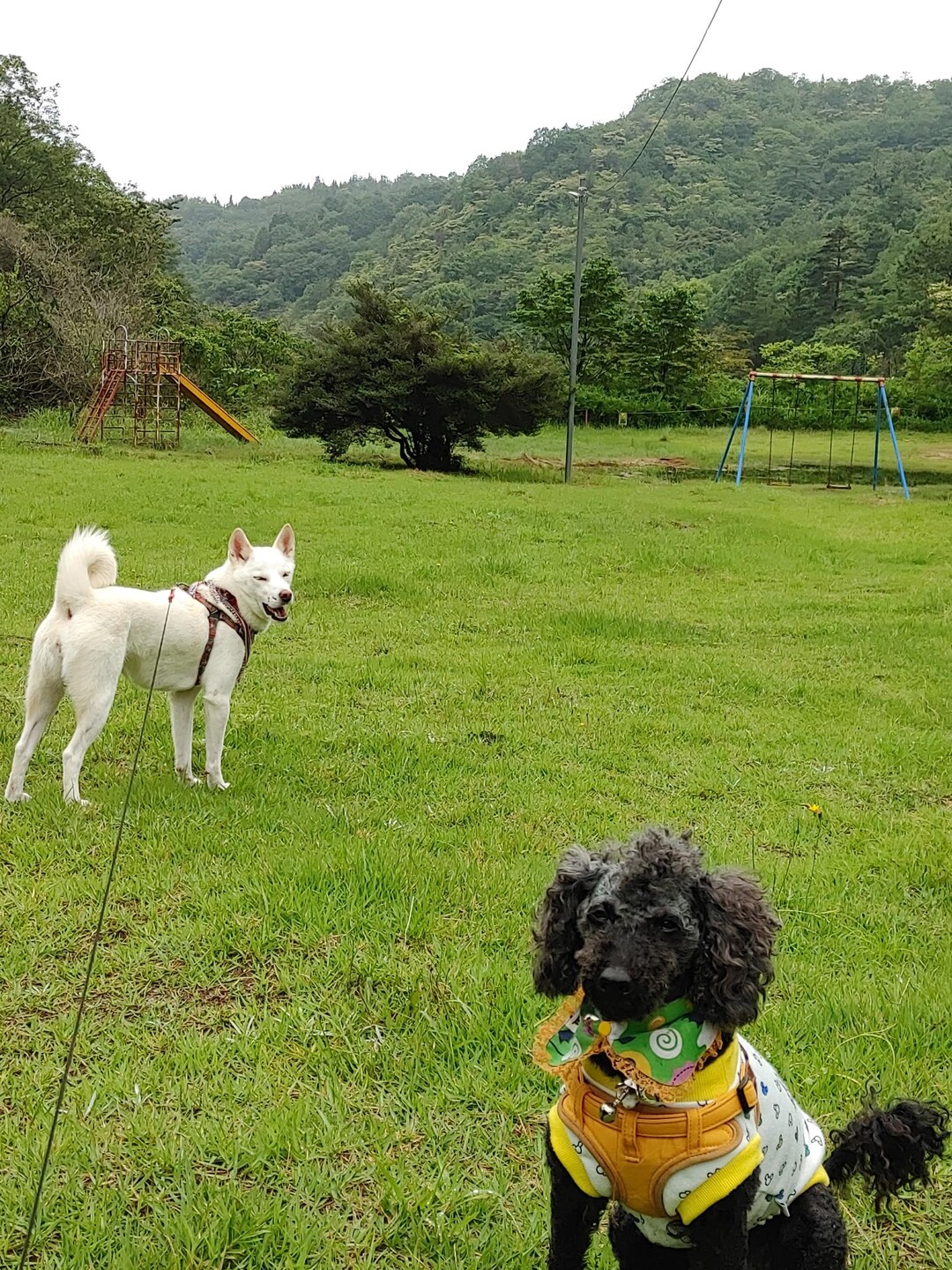 ☁️☔ご近所のキャンプ場🎄⛺🎄🚙 ... / GHハコさんのモーメント | YAMAP / ヤマップ
