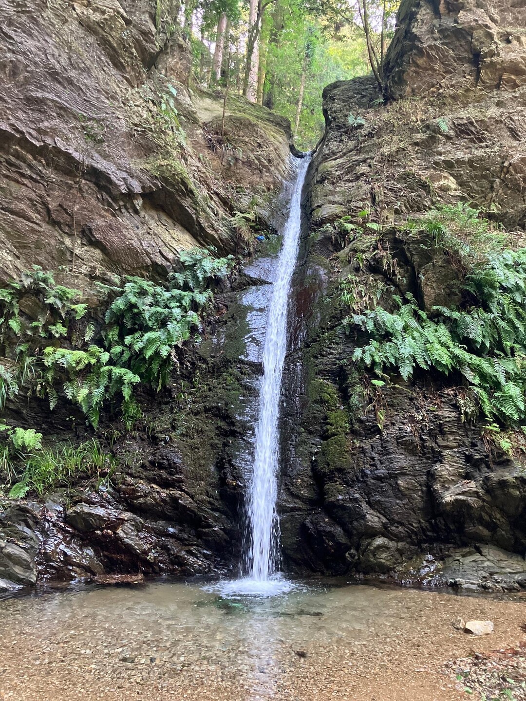 日和田山・高指山・物見山 / CPさんの日和田山・物見山の活動データ | YAMAP / ヤマップ