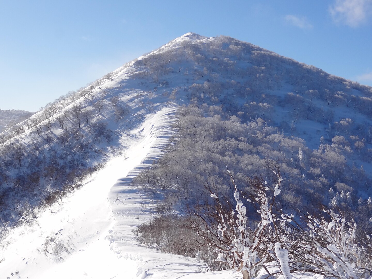 ペケレベツ岳(2回目) / AKKIさんのペケレベツ岳の活動データ | YAMAP / ヤマップ