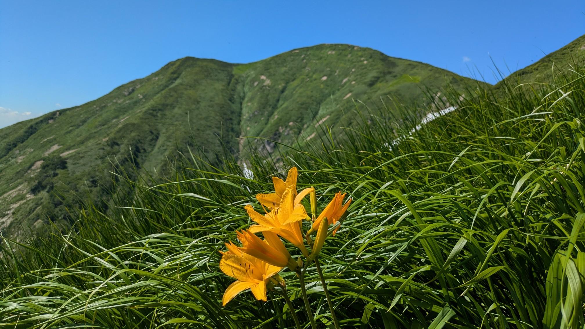 大朝日岳☀ / mozuさんの大朝日岳・朝日連峰・祝瓶山の活動データ | YAMAP / ヤマップ