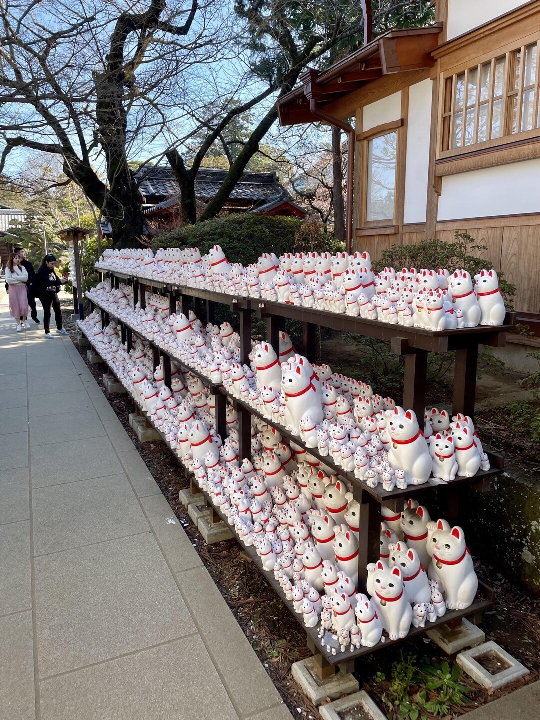 久しぶりに街ラン。ニューシューズの慣らし... / tomさんのモーメント | YAMAP / ヤマップ