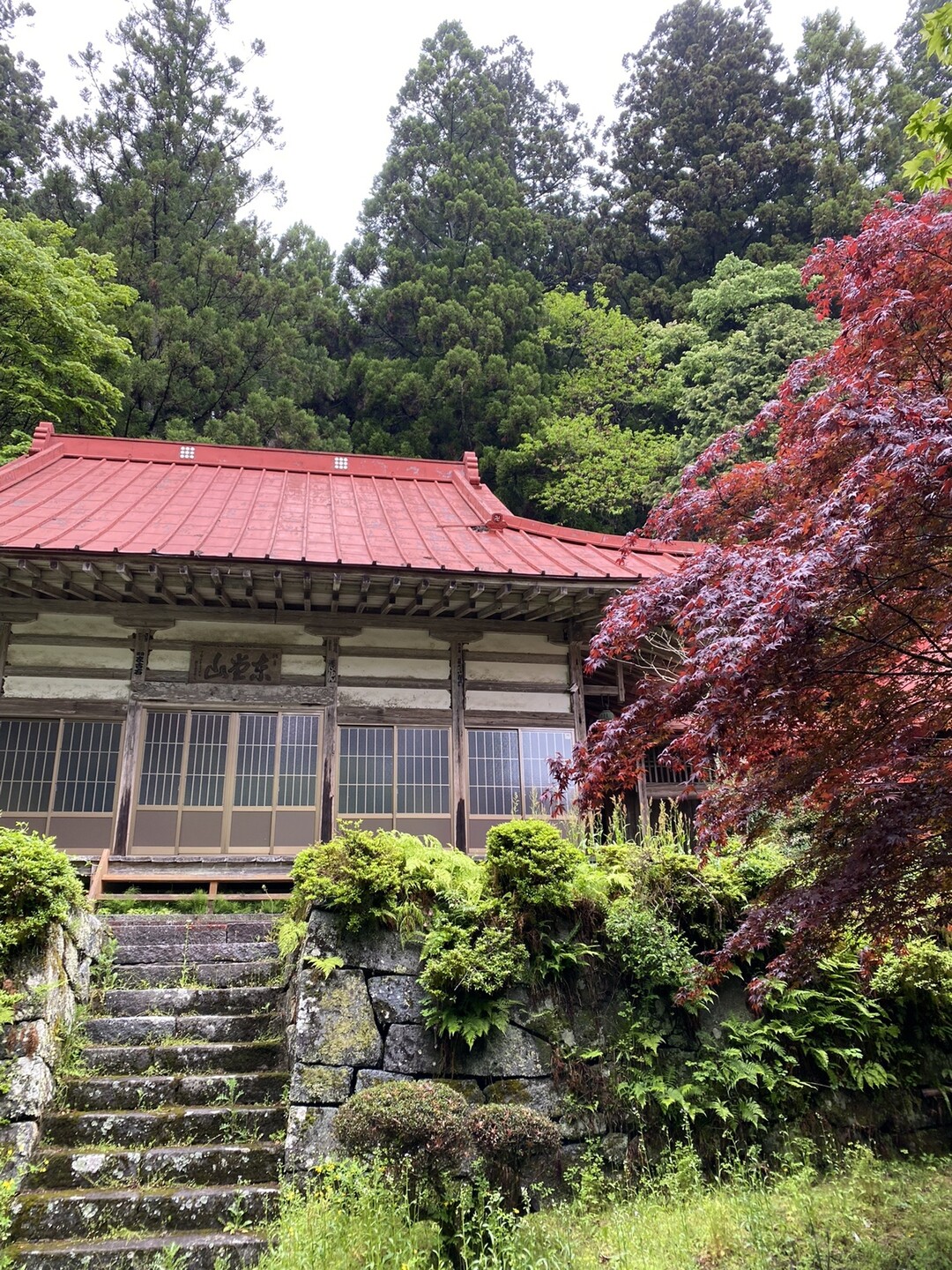 東堂山満福時-2022-05-14 / sanaviさんのウォーキングの活動データ | YAMAP / ヤマップ