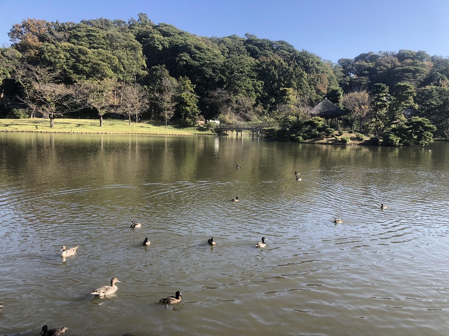 三溪園、港の見える丘公園、山下公園を散策... / muneさんのモーメント | YAMAP / ヤマップ