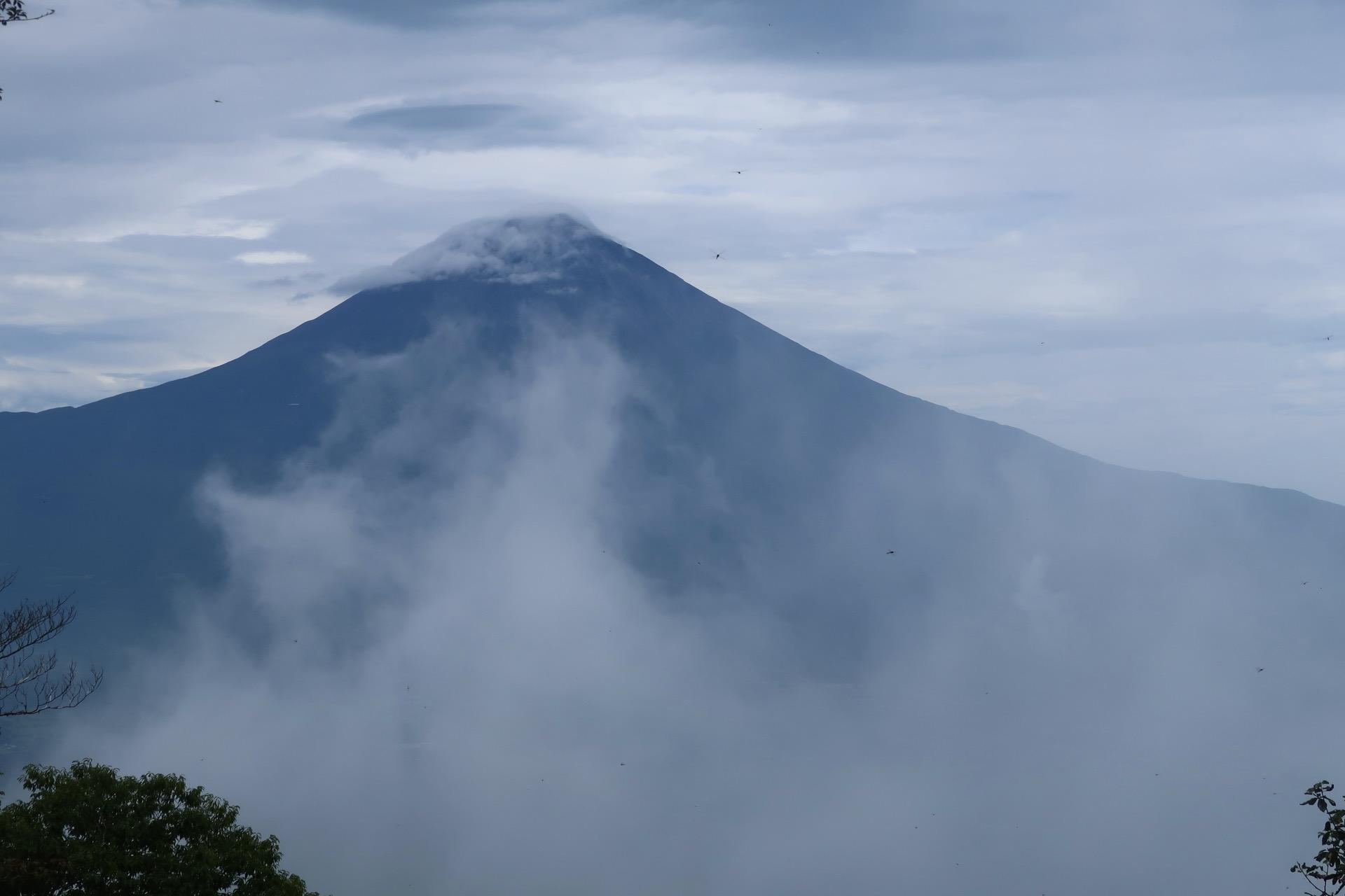 田貫湖から長者ヶ岳へ / heeさんの長者ヶ岳・天子ヶ岳の活動データ | YAMAP / ヤマップ