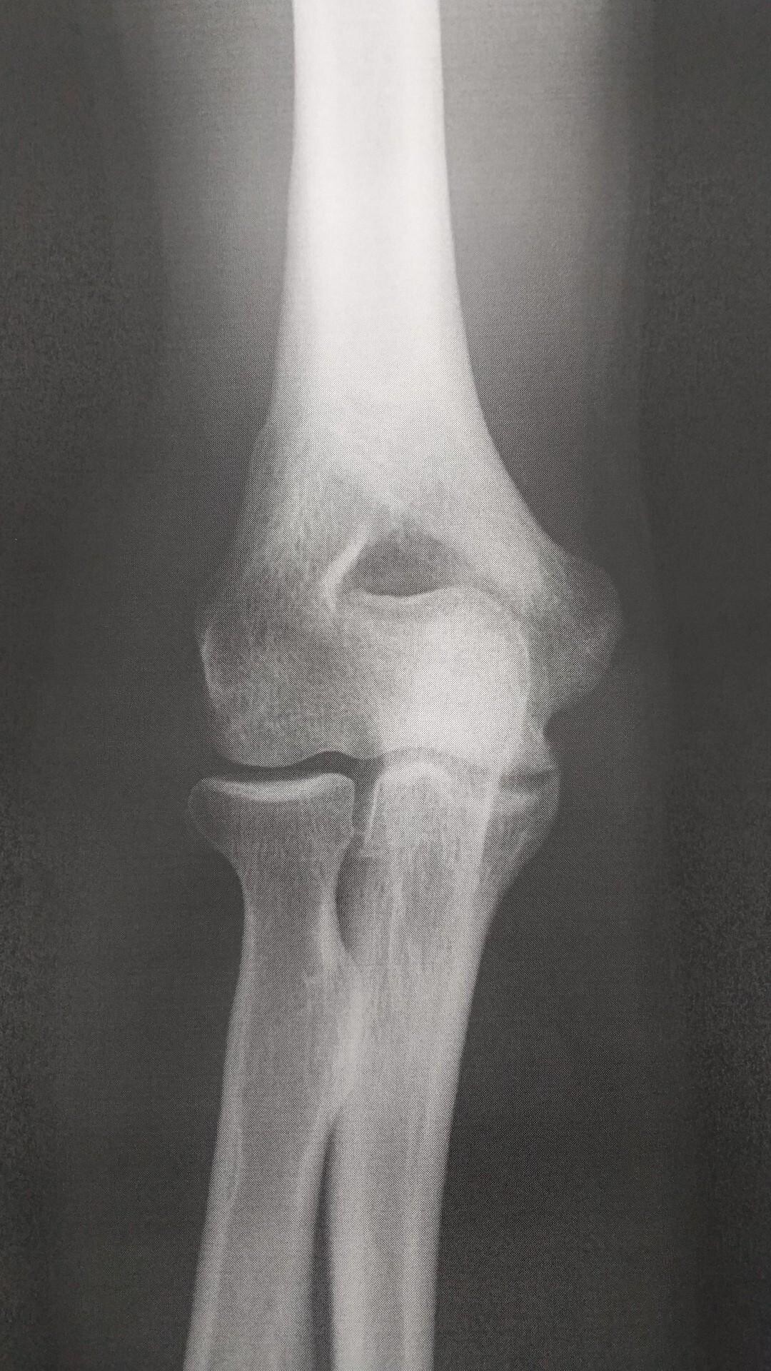 晴れて解禁💪 / hottyさんのランニングの活動データ | YAMAP / ヤマップ