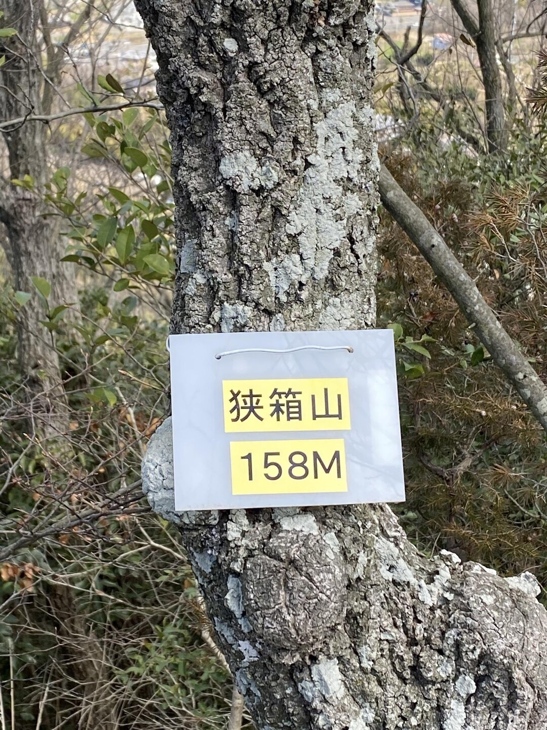 2024.03.10(日) 08:11 / ユーザーひでさんさんのモーメント | YAMAP / ヤマップ