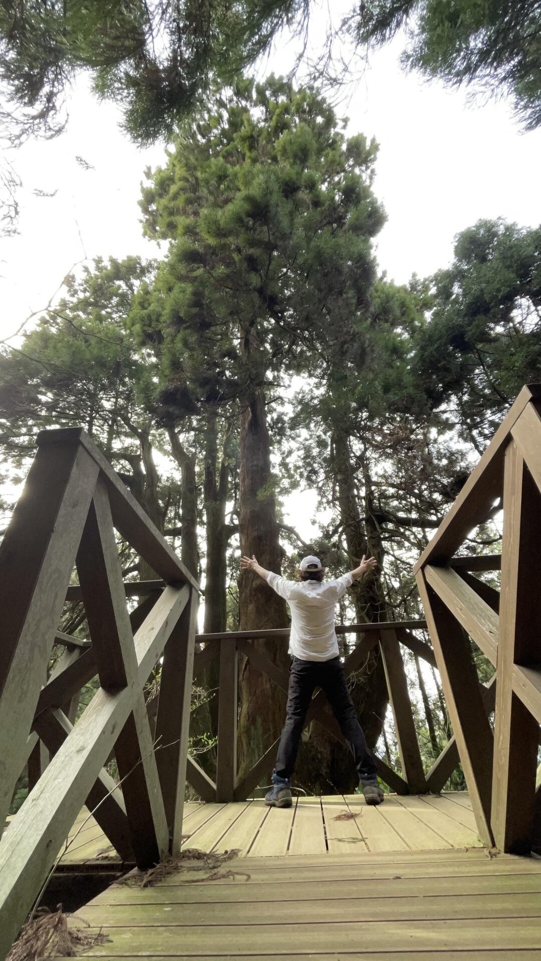 米ノ山・若杉山 / kojiさんの宝満山・三郡山・若杉山の活動データ | YAMAP / ヤマップ