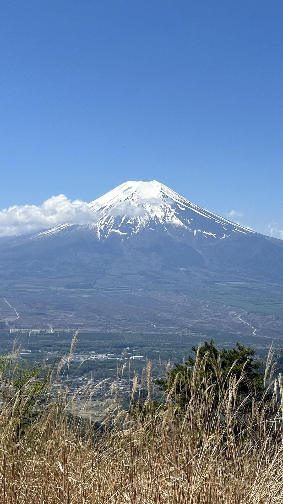 杓子山 / hanさんのFUJISAN LONG TRAIL（忍野・山中湖エリア EAST）の活動データ | YAMAP / ヤマップ