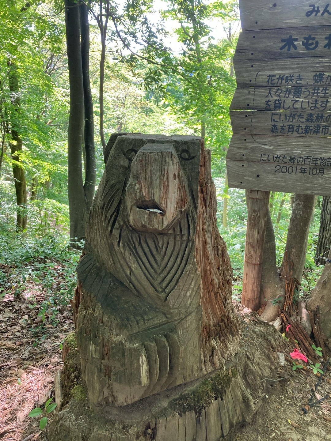 菩提寺山 / mini98Dさんの菩提寺山・高立山・護摩堂山の活動データ | YAMAP / ヤマップ