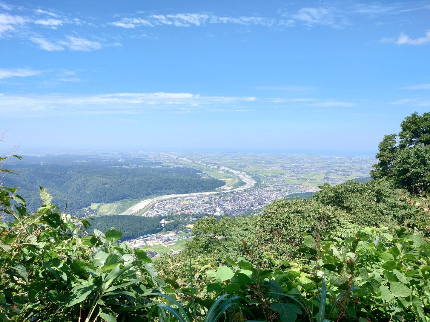 後高山（スカイ獅子吼） / kit-yさんの奥獅子吼山・口三方岳・烏帽子山の活動データ | YAMAP / ヤマップ