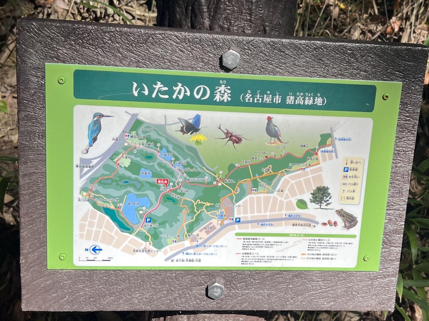 親鸞山&根岳-2023-10-29 / fusaさんの根岳・親鸞山の活動データ | YAMAP / ヤマップ