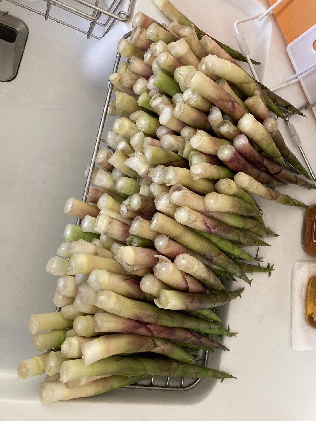 今日のおつまみ9️⃣🌿 今シーズン終了... / naoさんのモーメント | YAMAP / ヤマップ