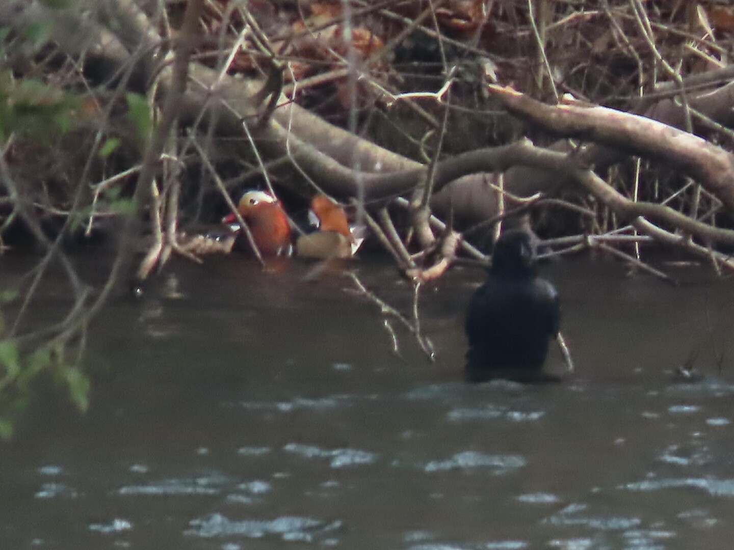 日記に載せられなかった写真を貼ります。 ... / HIROさんさんのモーメント | YAMAP / ヤマップ