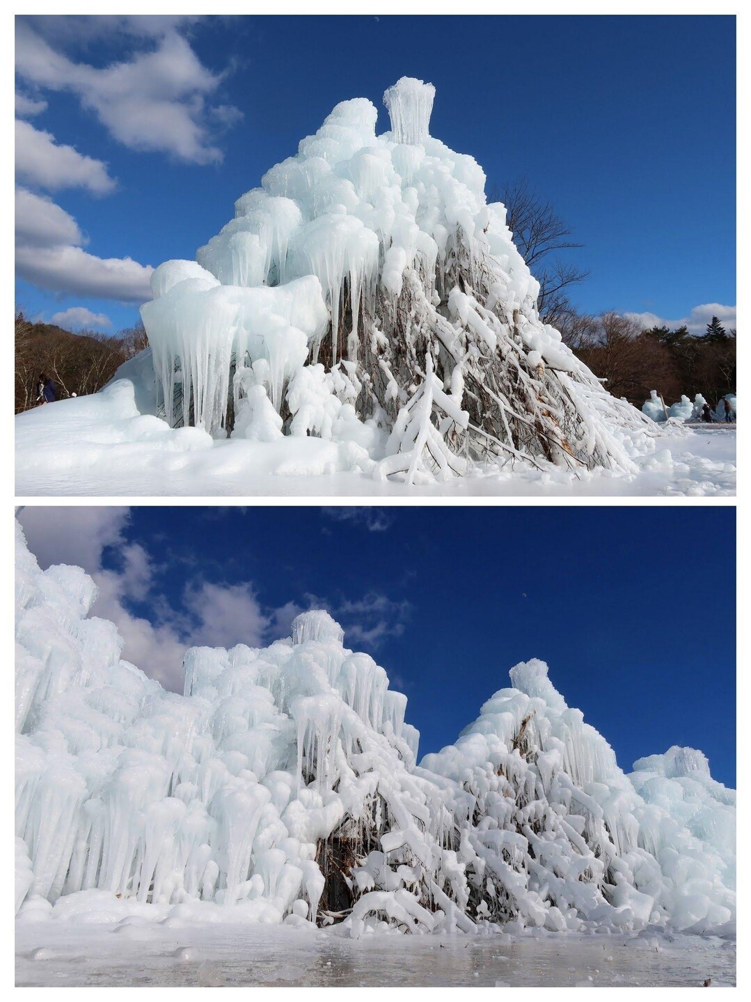 【2023西湖樹氷まつりを見に行こう！】... / kunsanさんのモーメント | YAMAP / ヤマップ