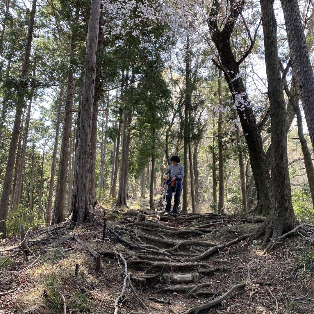 日向山・見城山 / J-BOYさんの大山の活動データ | YAMAP / ヤマップ