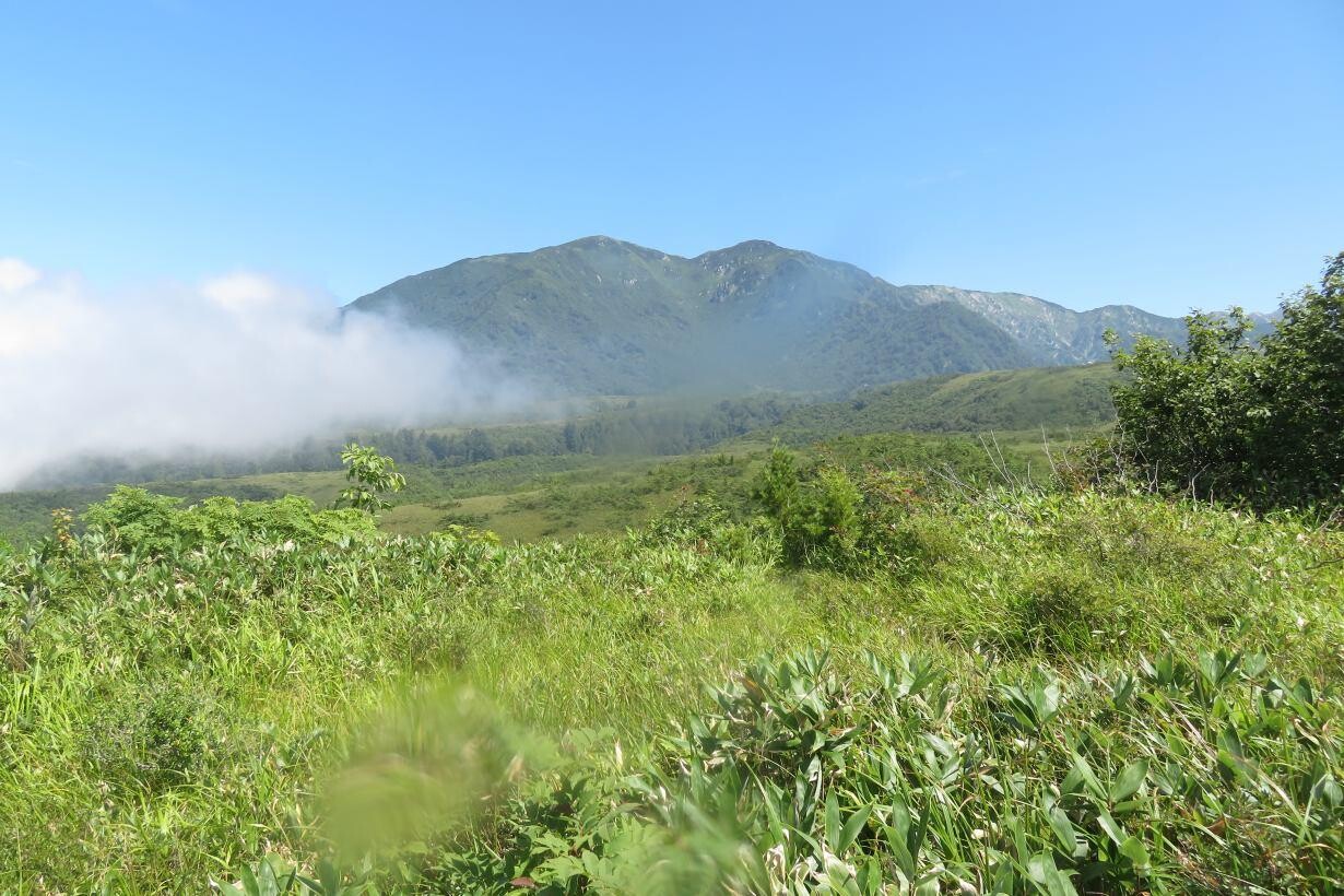 立山弘法2020-08-22八郎坂から＋YouTube / Tona.Yamahasi.E.Sanpoさんの立山・雄山・浄土山の活動データ | YAMAP / ヤマップ