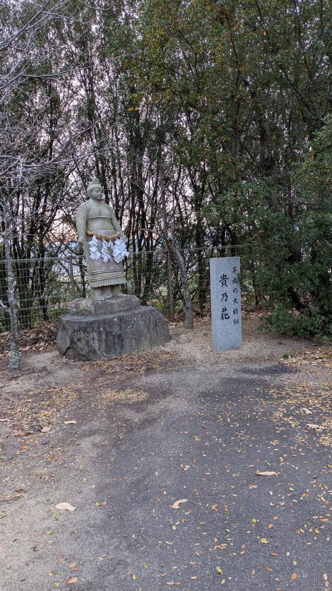 【ソロ活】ジョギングついでにセコップ（久米山） / kaz23さんの上佐山・日山・由良山の活動データ | YAMAP / ヤマップ