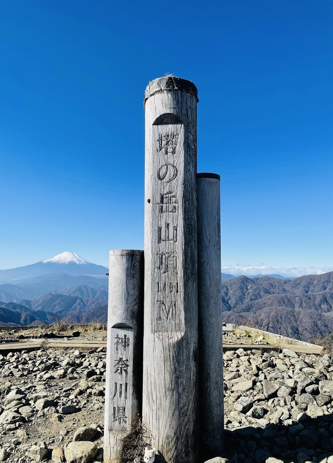 大倉尾根ー塔ノ岳 久しぶりの…。 / Mtrさんの塔ノ岳・丹沢山・蛭ヶ岳の活動データ | YAMAP / ヤマップ