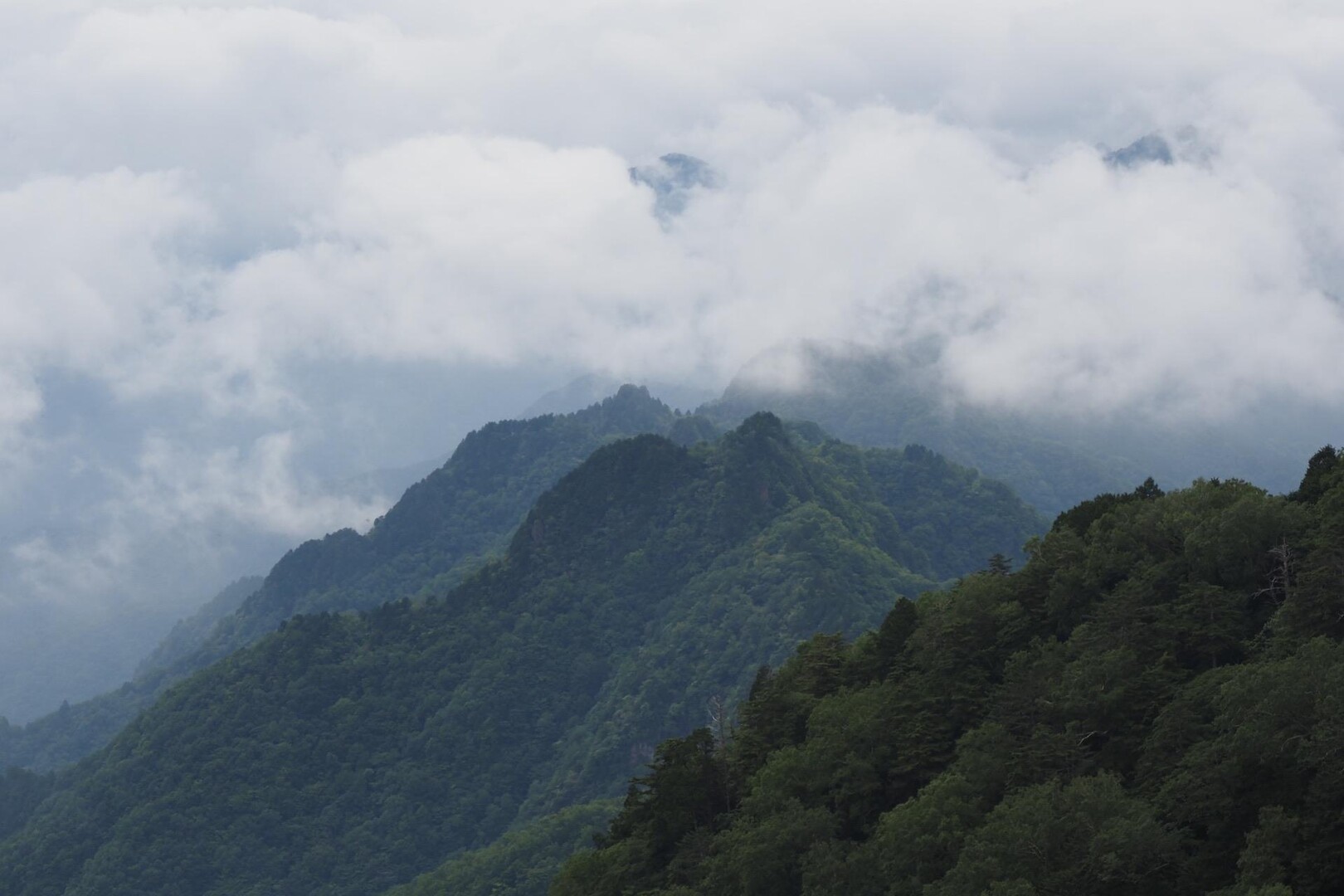 両神山へ / mi-papaさんの両神山・諏訪山・二子山の活動データ | YAMAP / ヤマップ