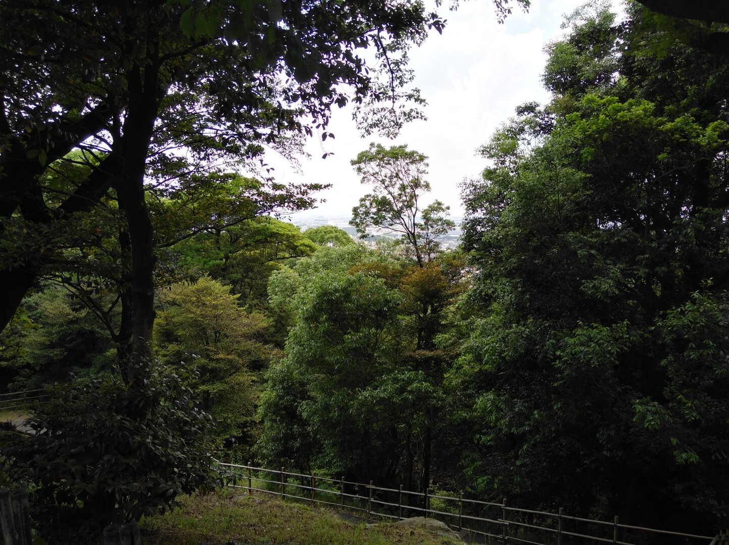 小牧山 / nobu2さんの小牧市の活動データ | YAMAP / ヤマップ