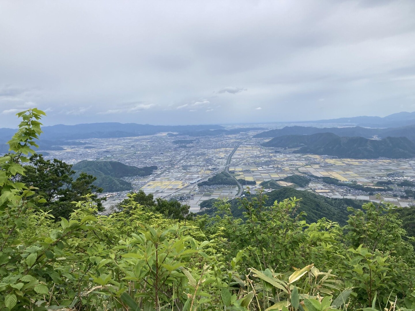 日野山（荒谷コース） / mi_chicoさんの日野山の活動データ | YAMAP / ヤマップ